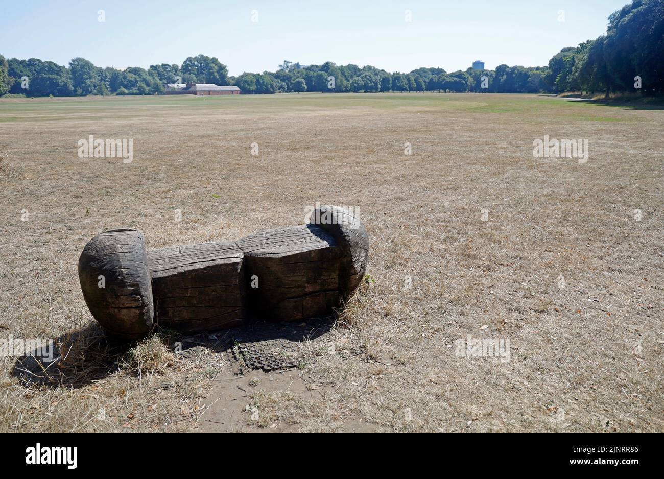 Cardiff park. Summer 2022. August Stock Photo - Alamy