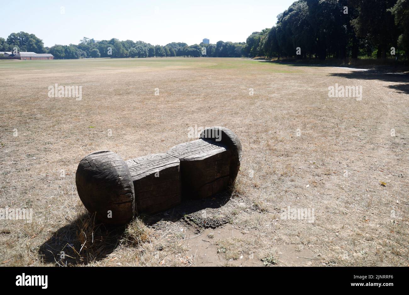 Cardiff park. Summer 2022. August Stock Photo - Alamy