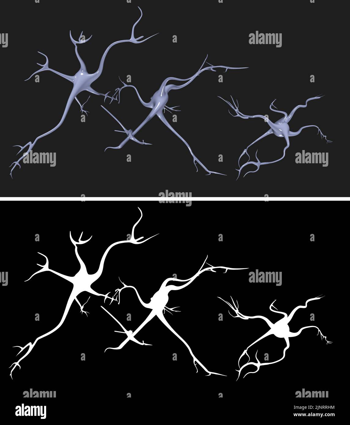 Nerve cells with alpha mask for easy extraction. 3D rendering Stock ...