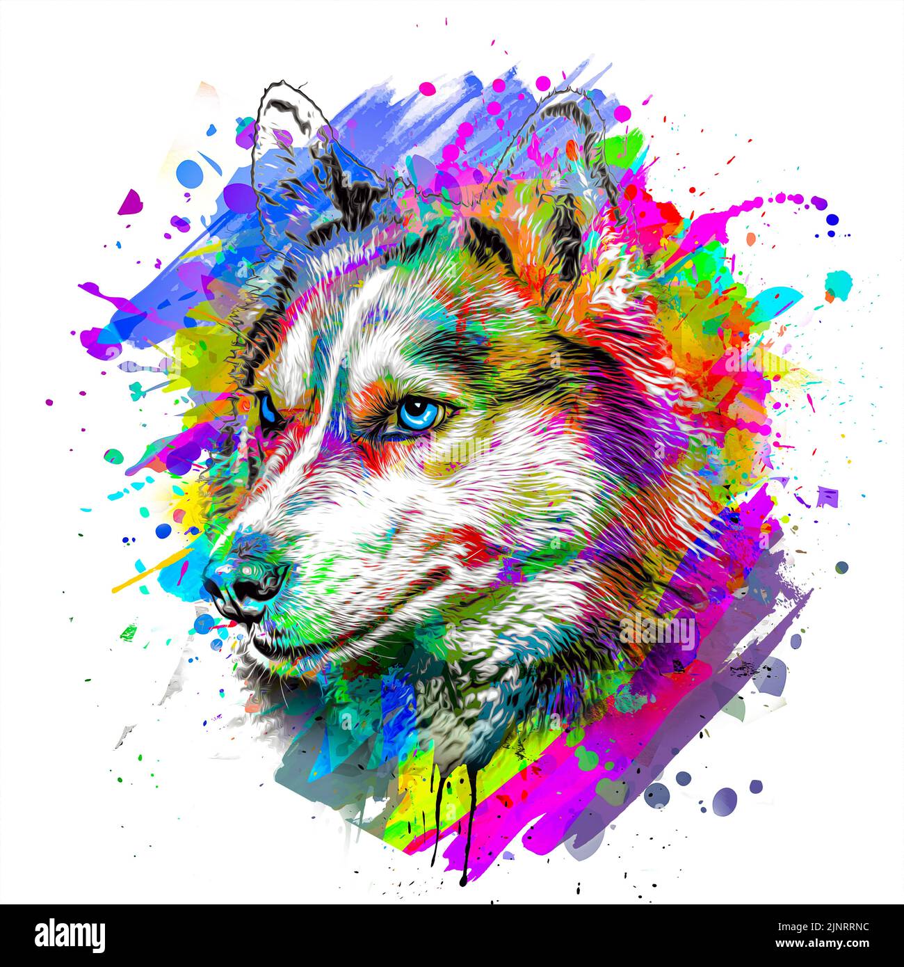haski dog head with creative colorful abstract elements on white ...