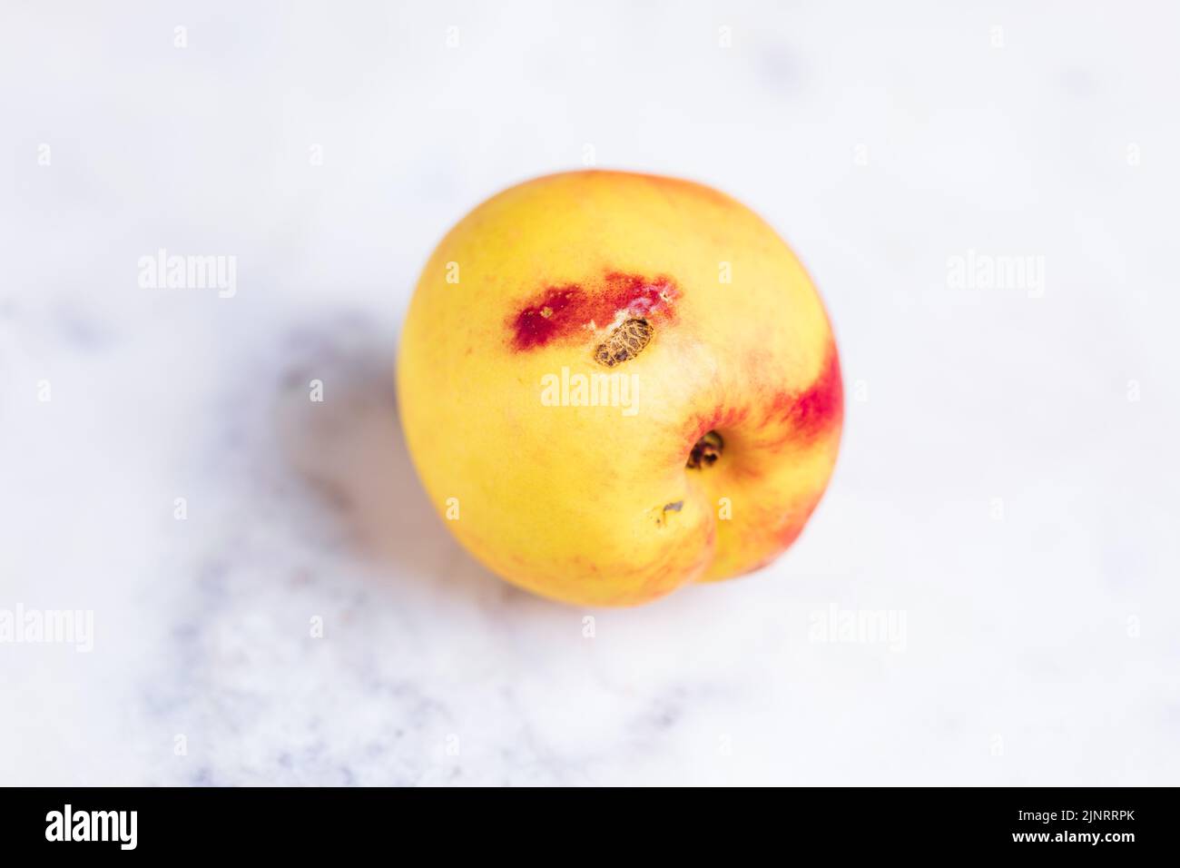 White marble background hi-res stock photography and images - Alamy