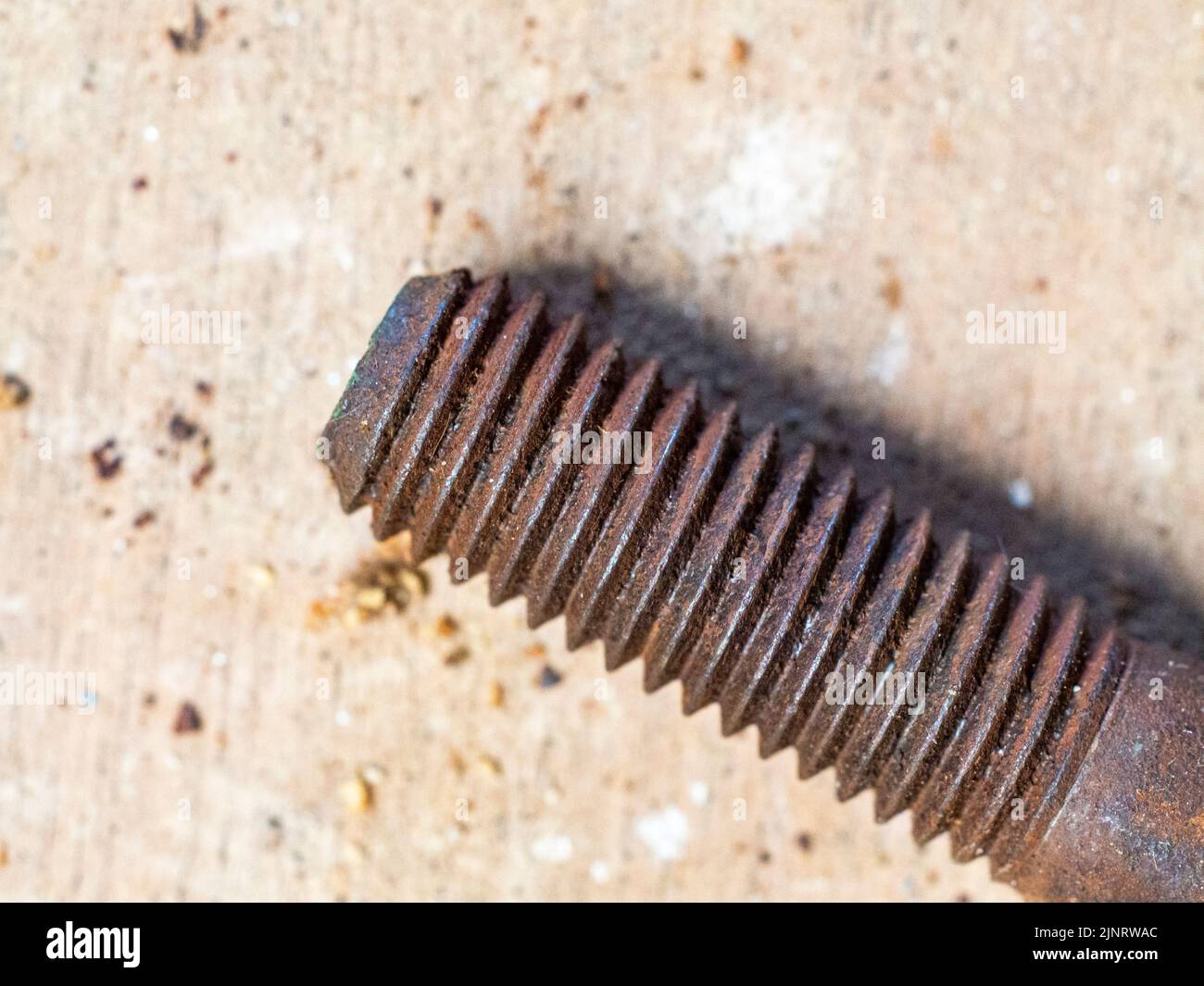 badly worn rusty screw on an antique wood background Stock Photo - Alamy