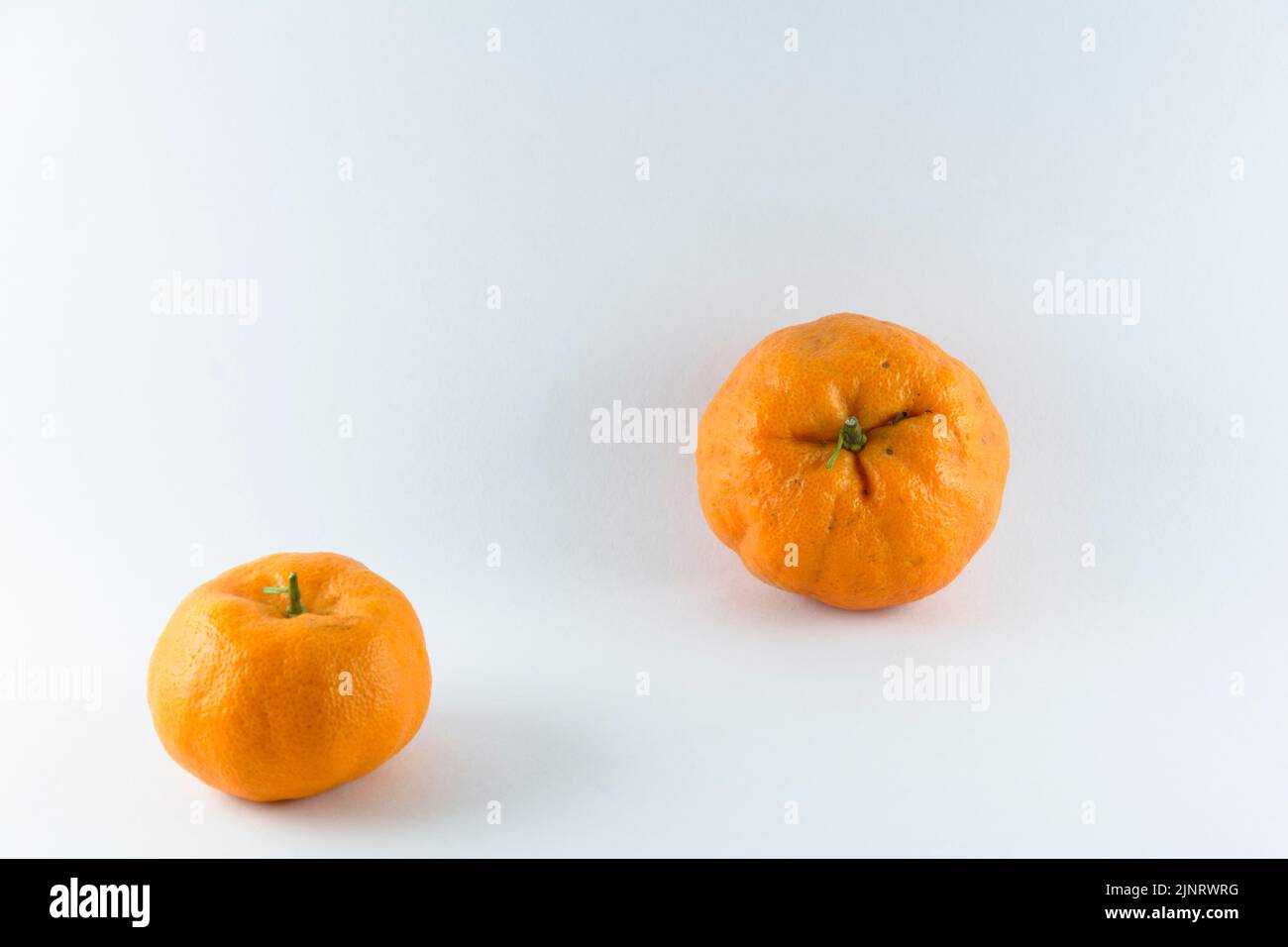 Surface covered with two ripe fresh juicy tangerines, composition ...