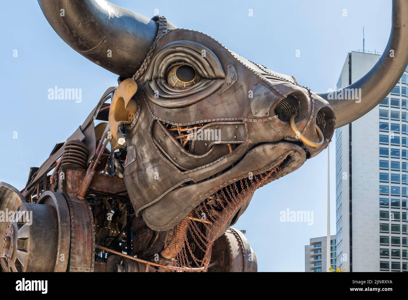 Detail of the 10 metre high raging bull from the 2022 Commonwealth ...