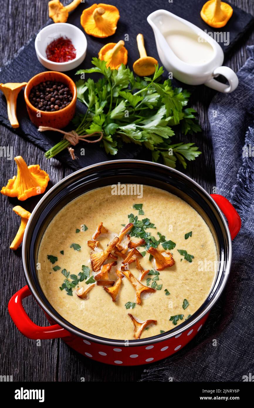 Kanttarellikeitto, Finnish Chanterelle Soup in red pot on dark wooden ...