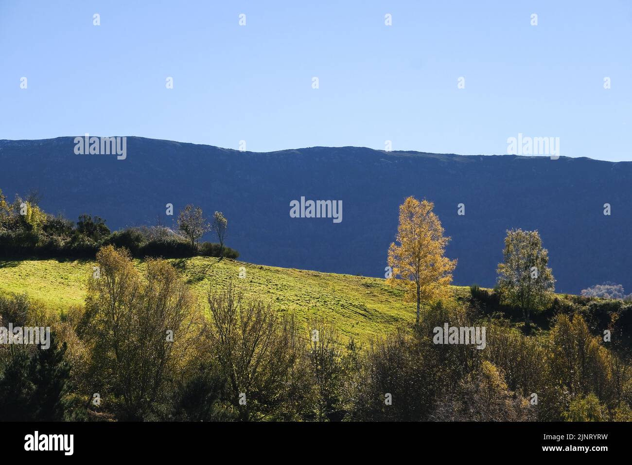 Green pastures in the mountain, autumn landscape Stock Photo - Alamy