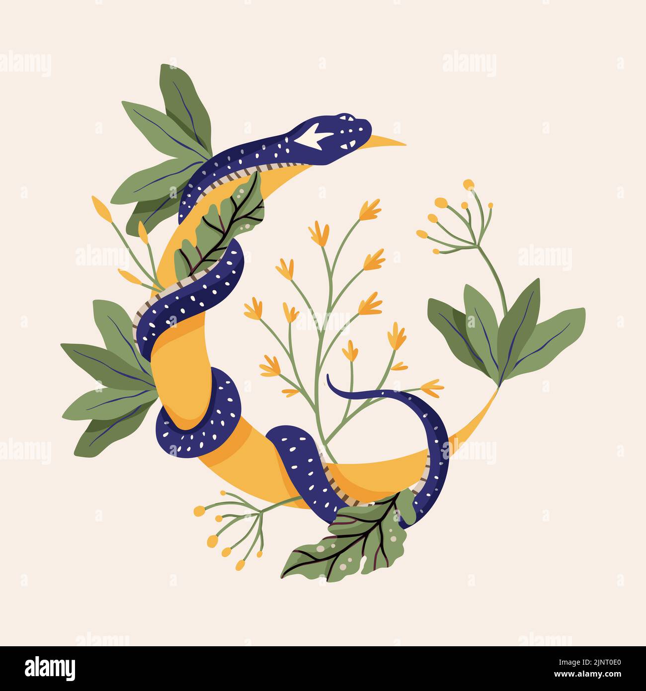 Snake and moon illustrations vector retro design alchemy flower. Python ...