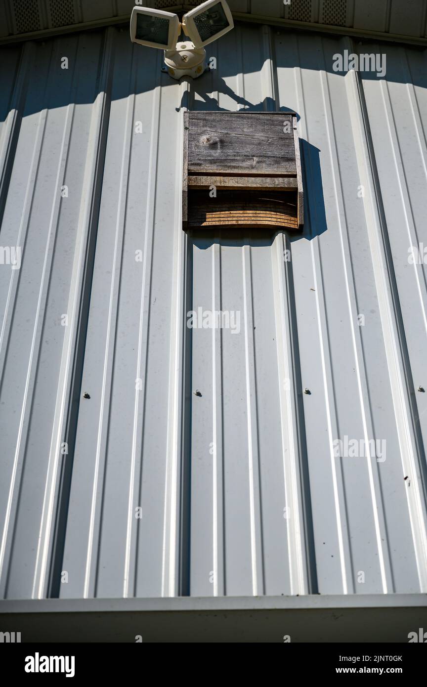 Wooden bat house on white corrugated tin barn Stock Photo - Alamy