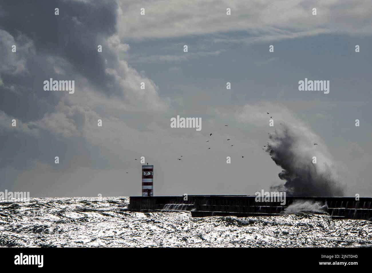 Scenic of an port at the Atlantic ocean with huge waves Stock Photo - Alamy