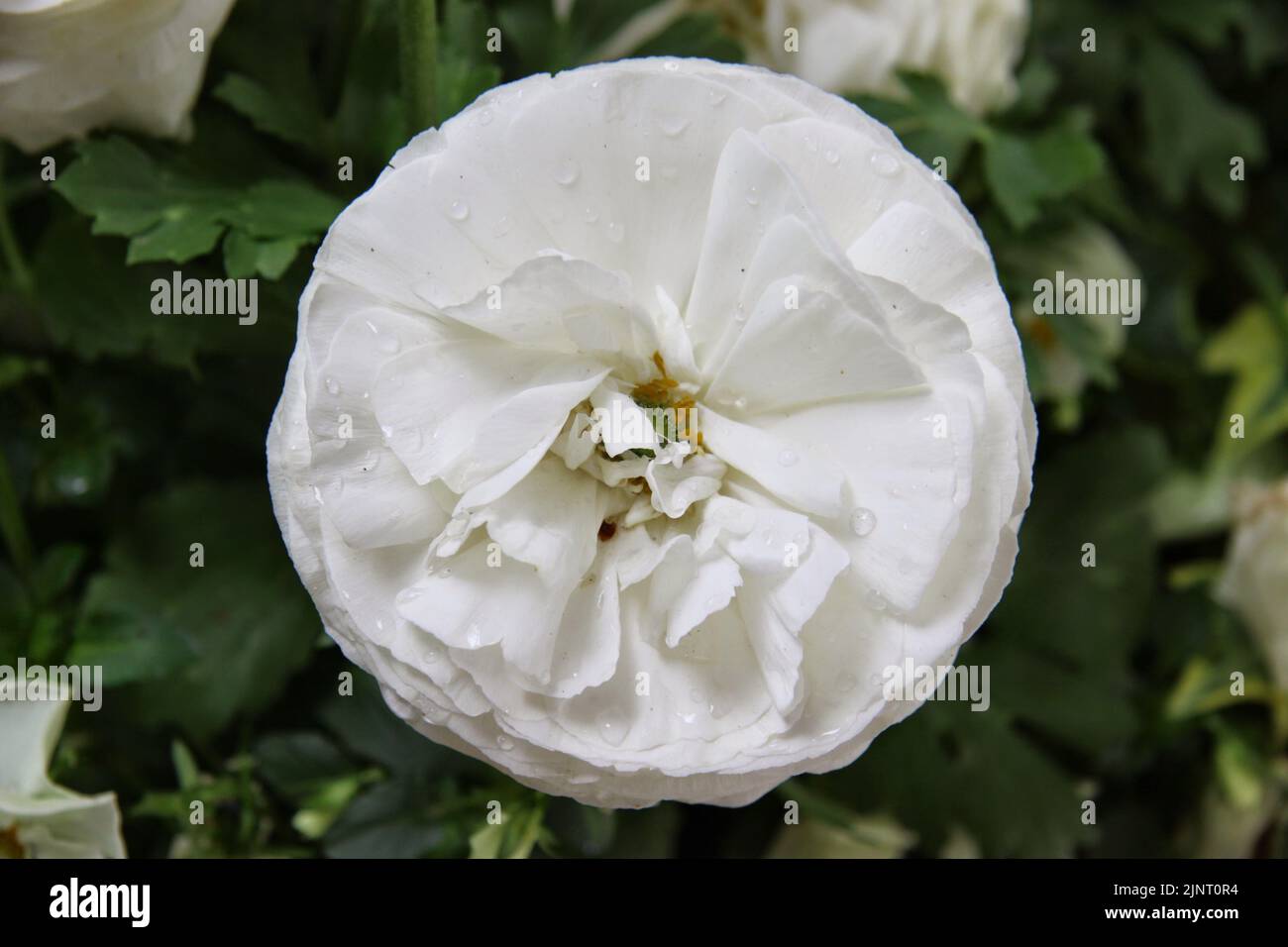 The path to growth, the signs of a new life Stock Photo - Alamy