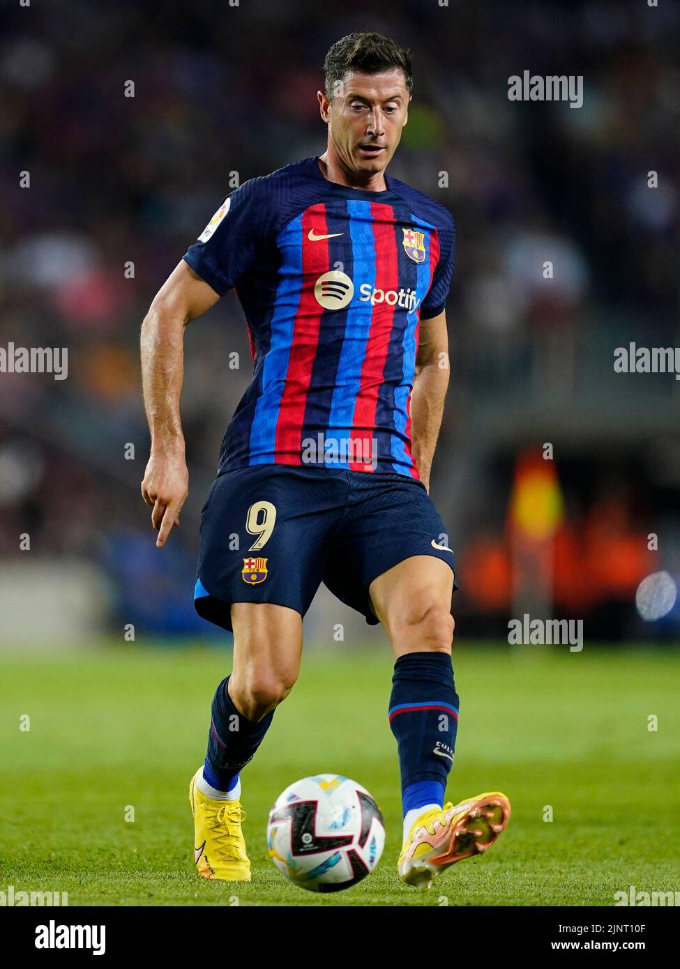 Robert lewandowski hi-res stock photography and images - Alamy
