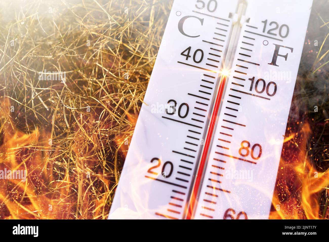 Klimawandel waldbrand hi-res stock photography and images - Alamy