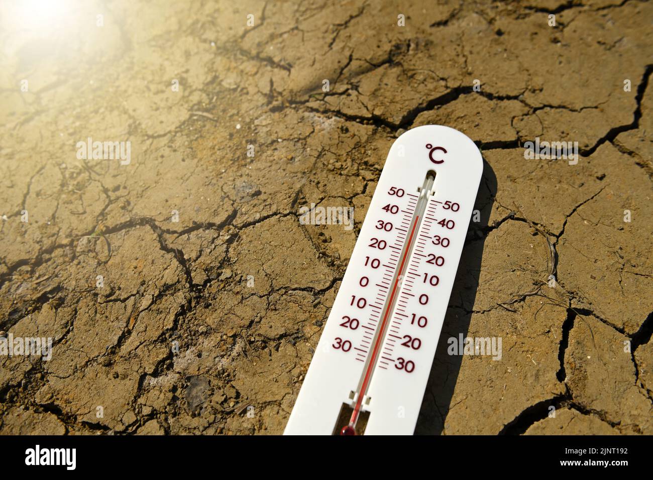 Uber greenhouse hi-res stock photography and images - Alamy