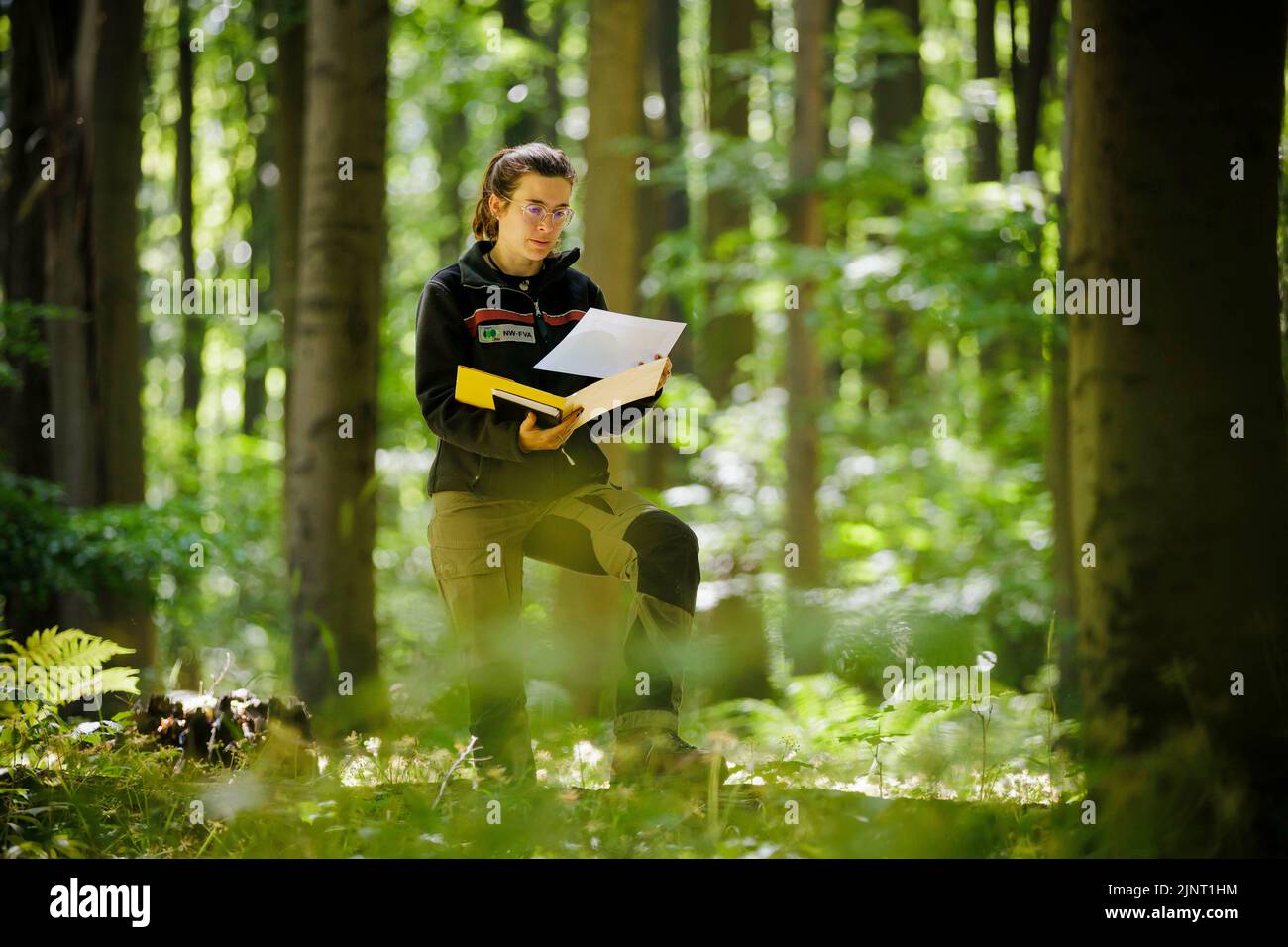 An employee of the Northwest German Forest Research Institute is ...