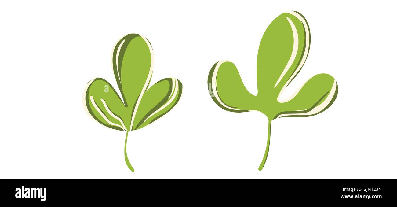 Floral set hand drawn green color leaves. Cute isolated elements. Clip ...