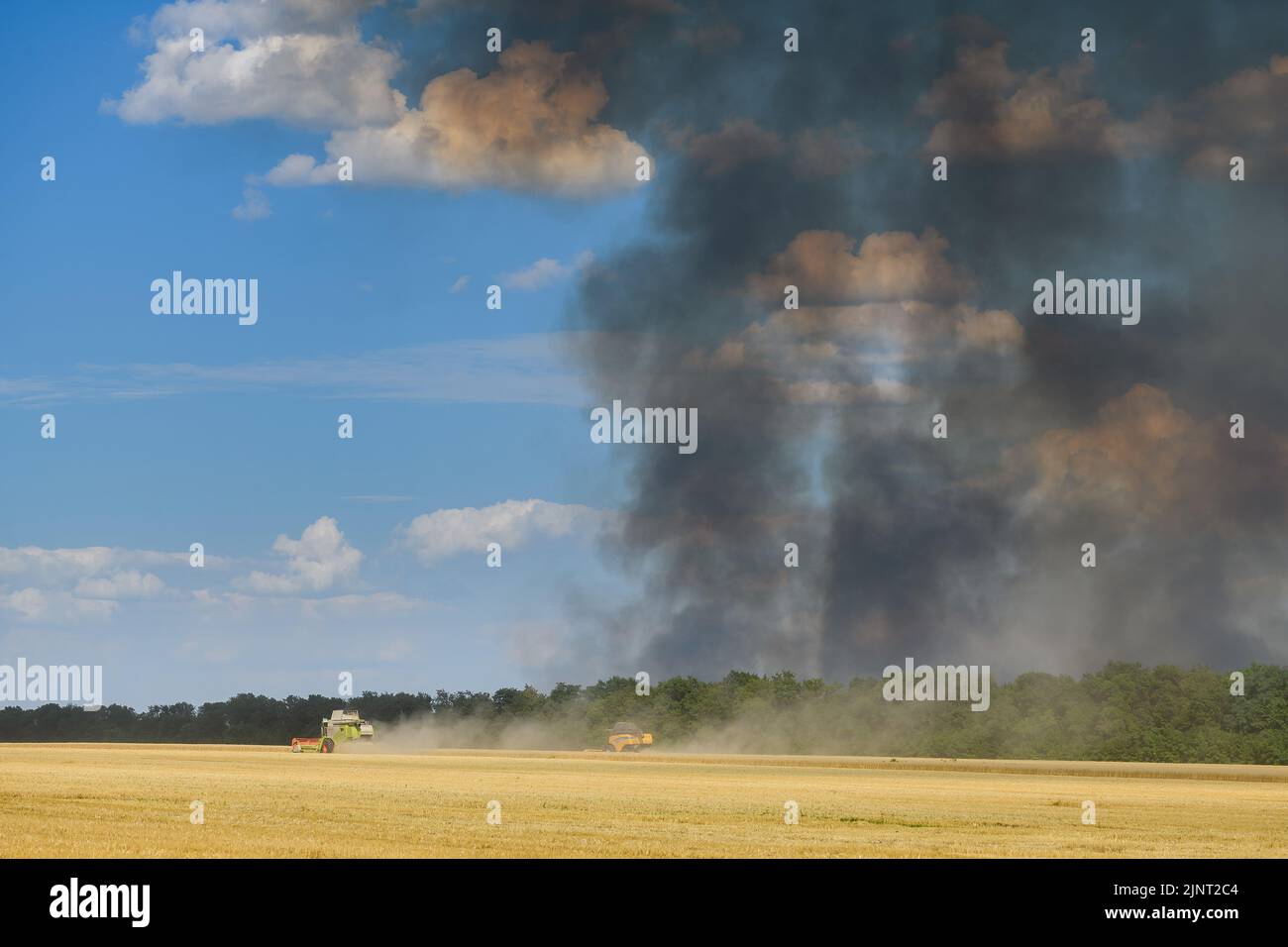 Combine harvester harvests ripe wheat. Smoke from a burning field rises ...