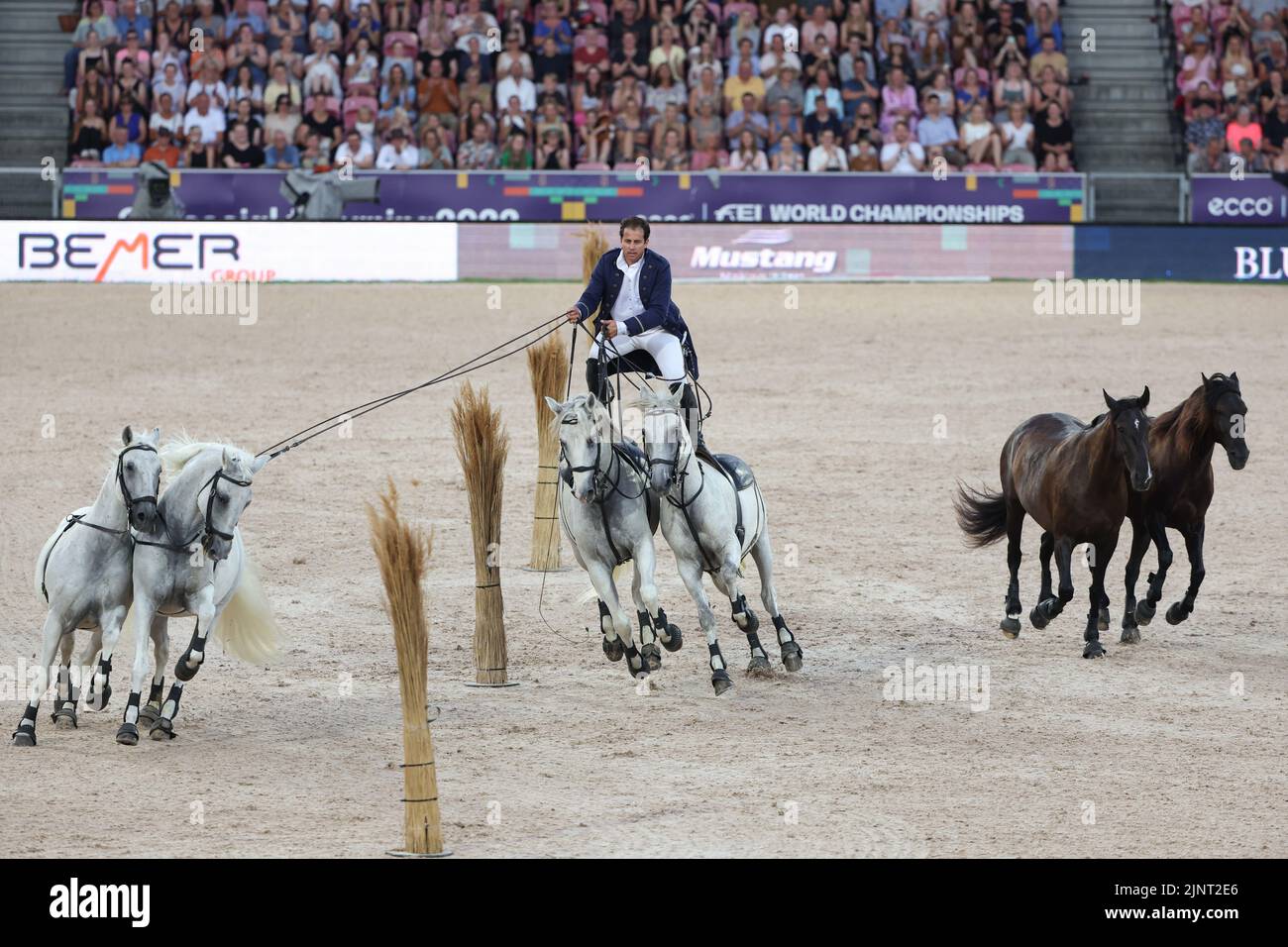 Herning, Denmark. 13th Aug, 2022. Equestrian sport, horse riding, world ...