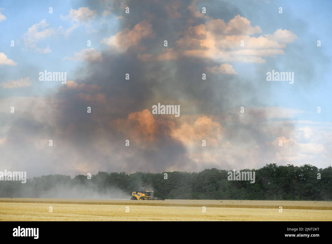 Combine harvester harvests ripe wheat. Smoke from a burning field rises ...