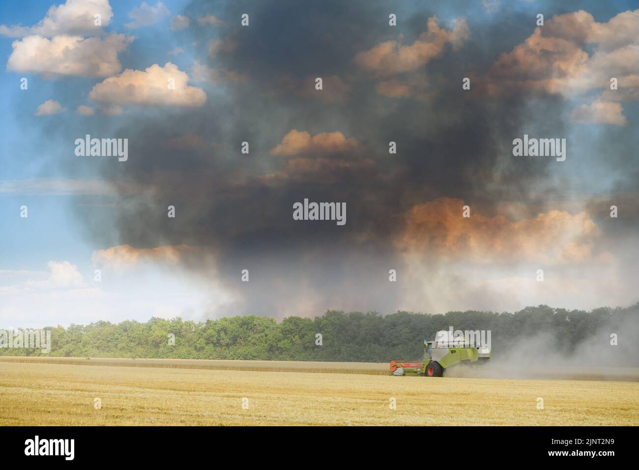 Ukraine wheat combine hi-res stock photography and images - Alamy