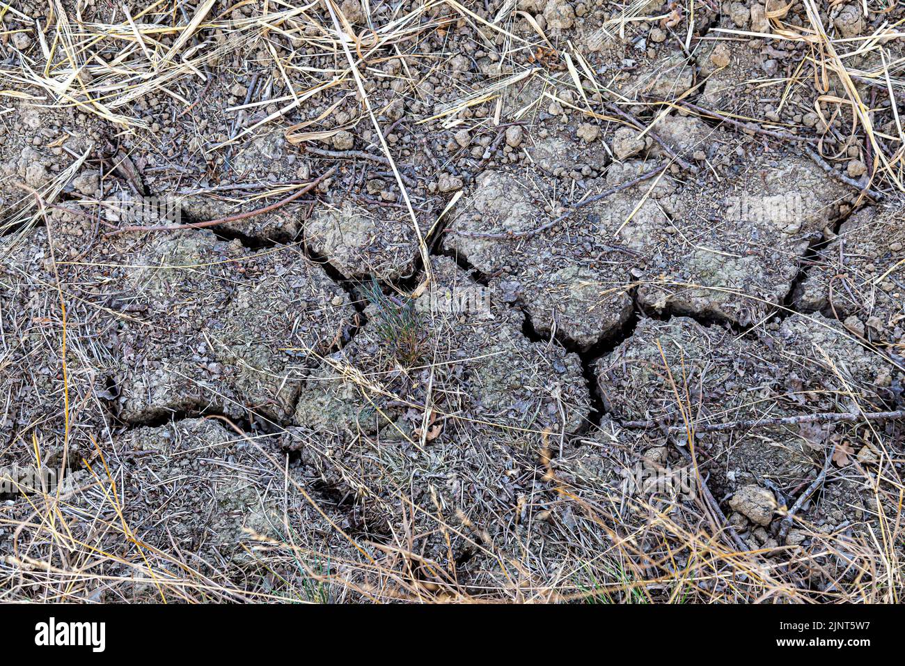 Cracked soil during a drought in England Stock Photo - Alamy