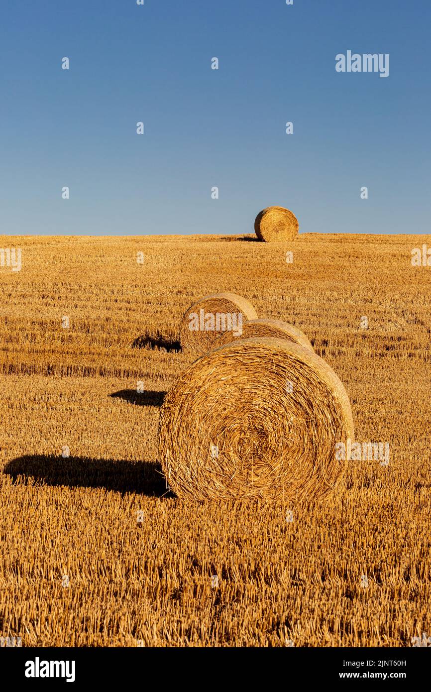 Drought farm overhead hi-res stock photography and images - Alamy
