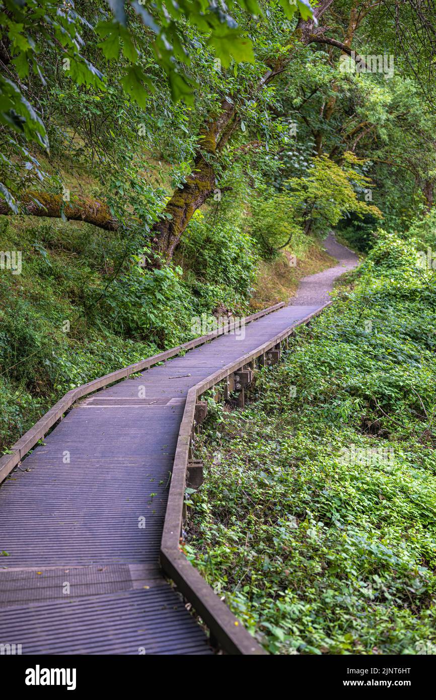Walkway in Oaks Bottom Wildlife Refuge in Portland, Oregon Stock Photo ...