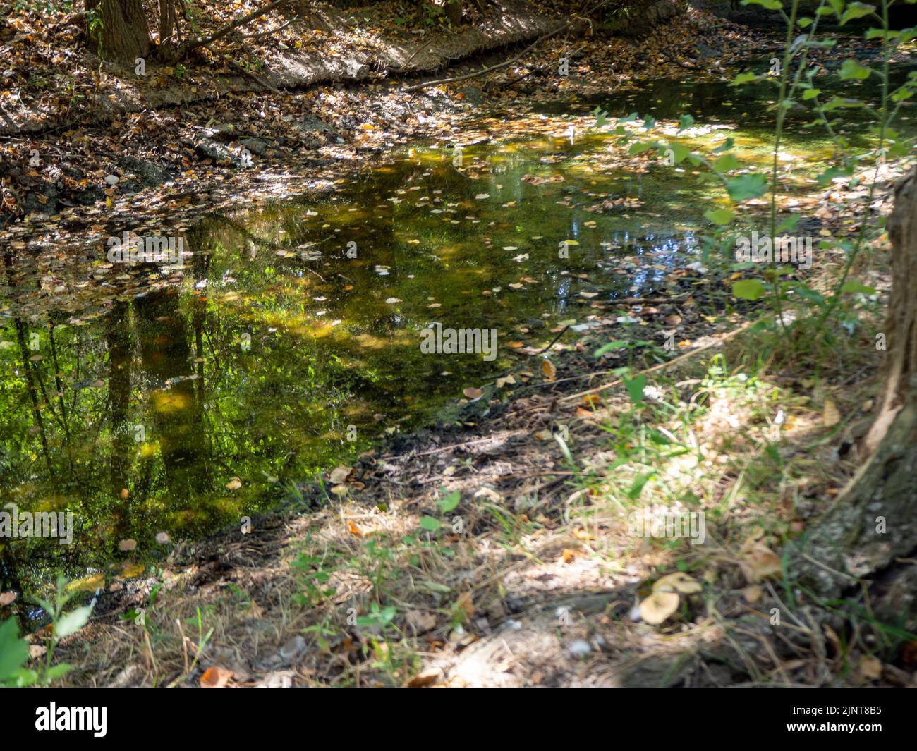 spring water contaminated by chemicals. Pollution concept Stock Photo ...
