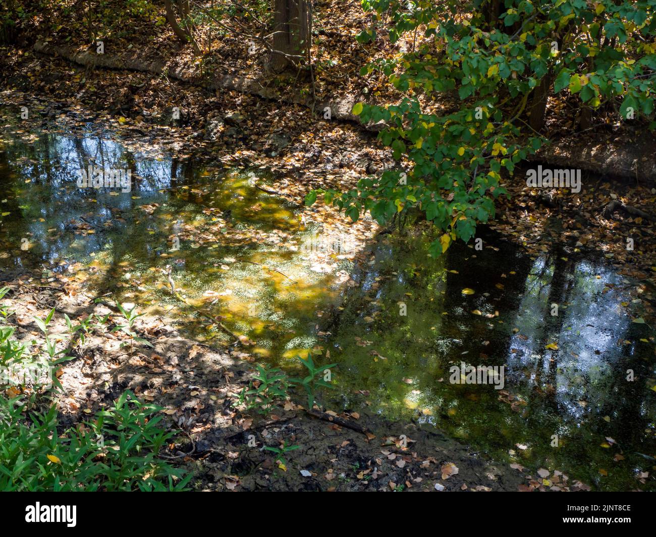 spring water contaminated by chemicals. Pollution concept Stock Photo ...