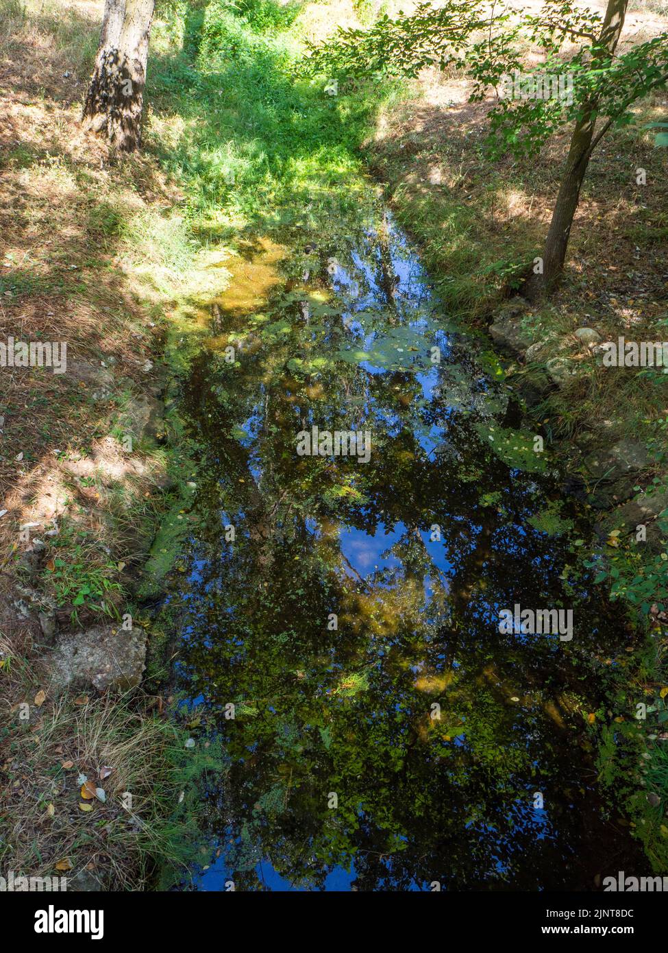 Water pollution solution hi-res stock photography and images - Alamy