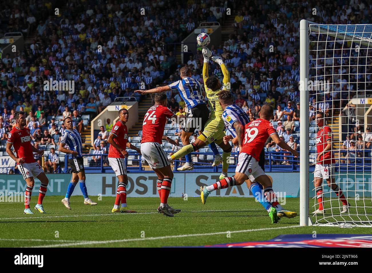 George Byers #14 of Sheffield Wednesday fouls Jojo Wollacott #1 of ...