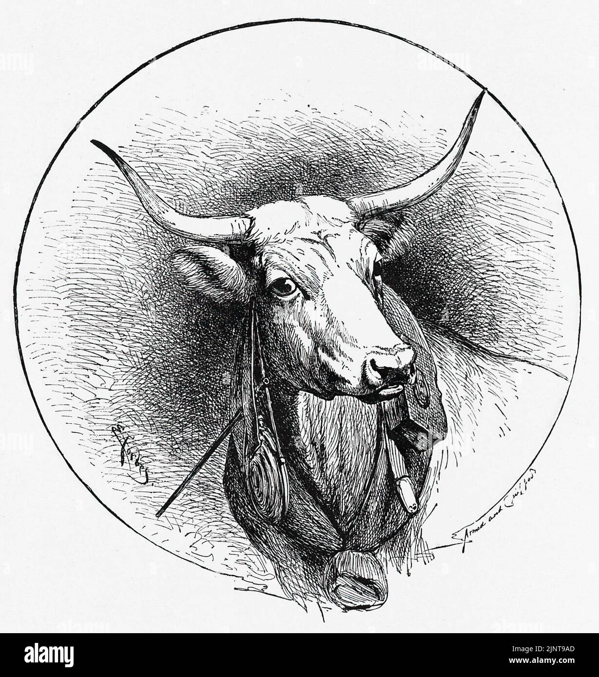 Cartridge box civil war hi-res stock photography and images - Alamy