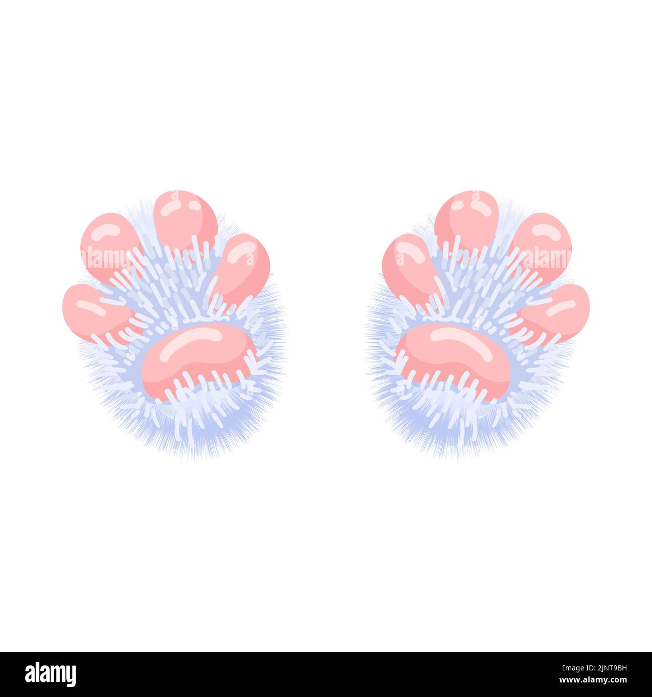 Hare paws concept Cute and lovely rabbit feet Lucky paws Isolated ...