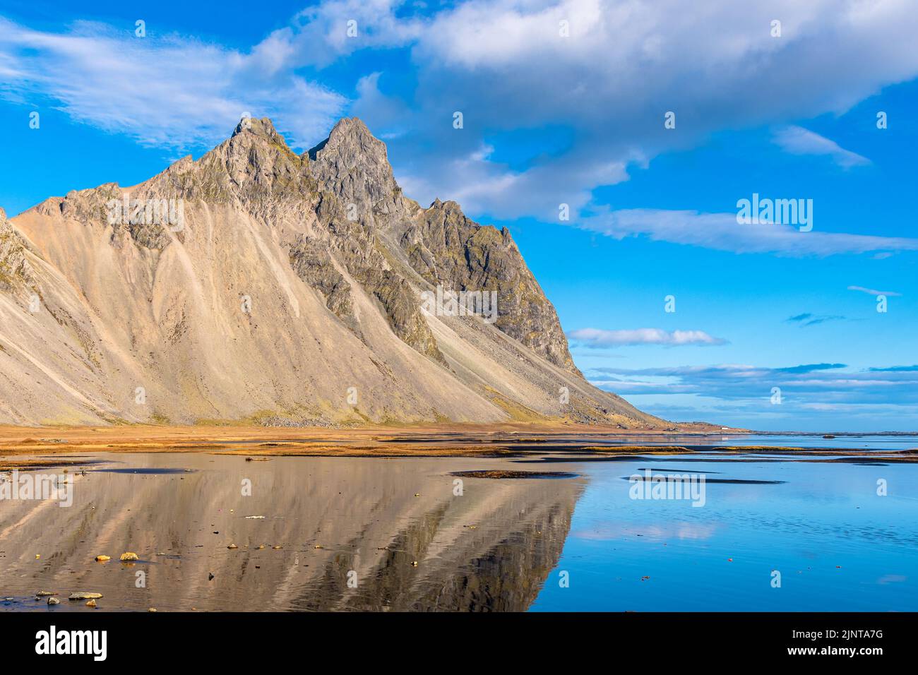 beautiful Iceland with horses and landscape Stock Photo - Alamy