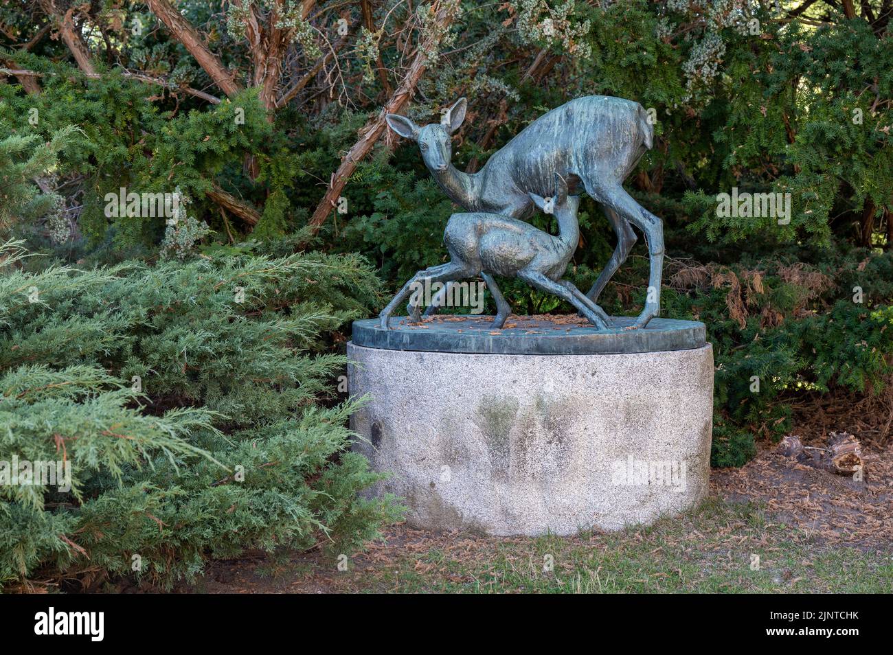 Public art in Norrkoping - Roe deer with fawn a bronze by Arvid Knöppel ...
