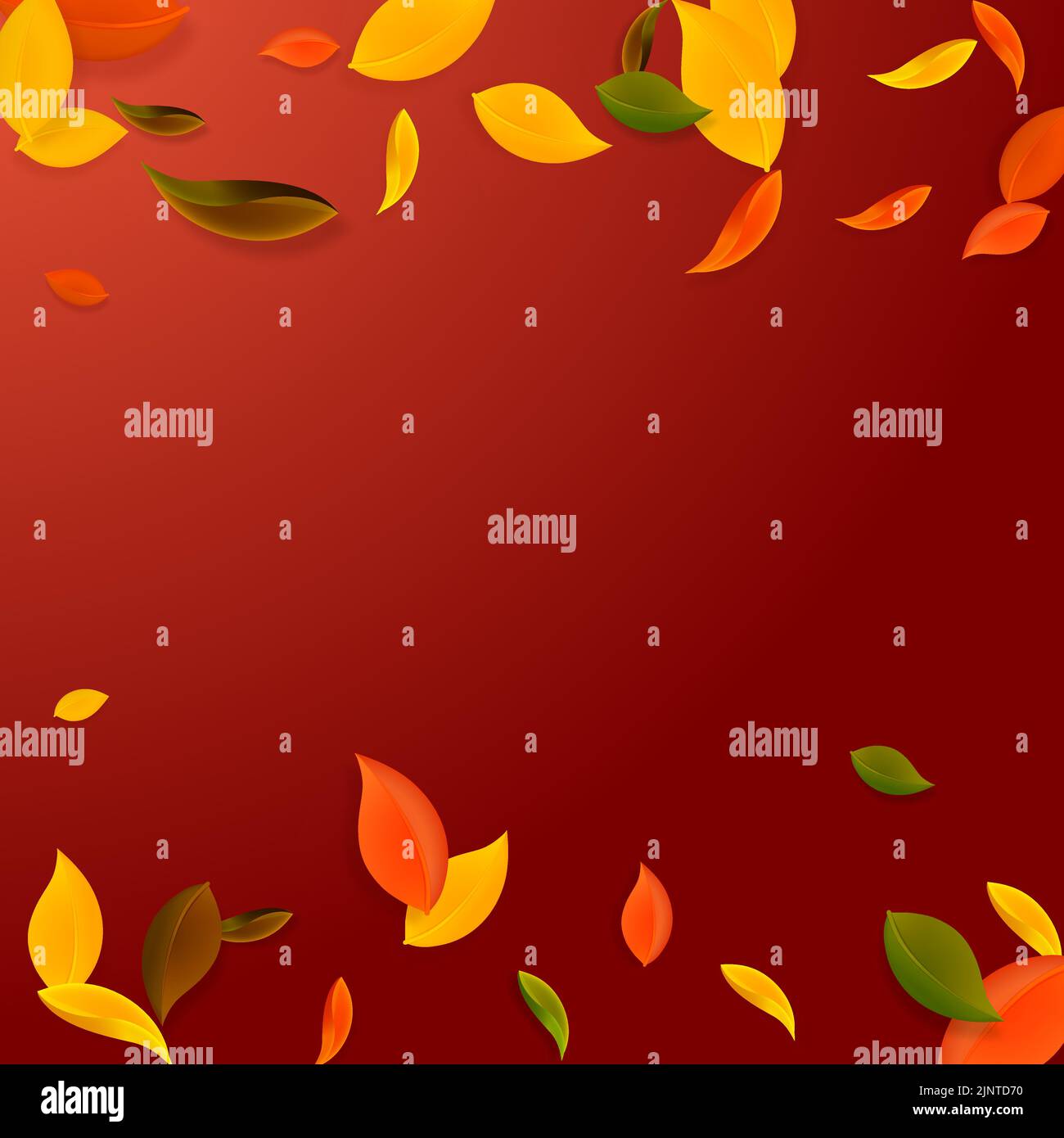 Falling autumn leaves. Red, yellow, green, brown chaotic leaves flying. Falling rain colorful ...