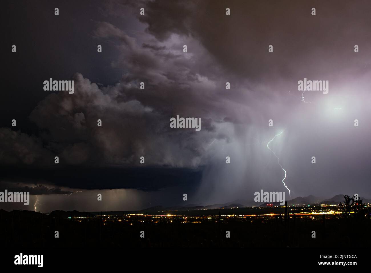 Lightning silhouette saguaro cactus hi-res stock photography and images ...
