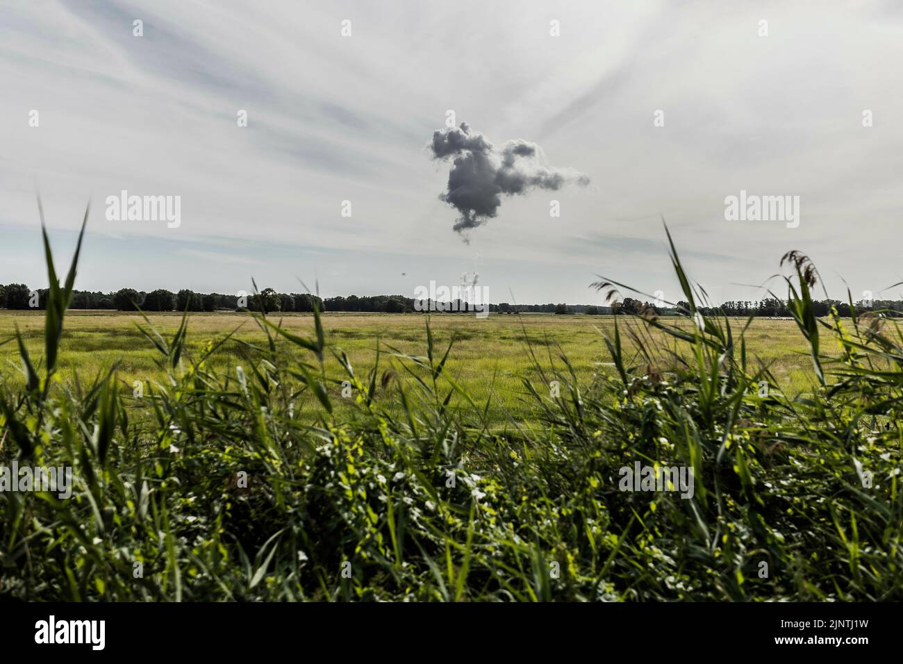 Coal power plants with trees hi-res stock photography and images - Alamy