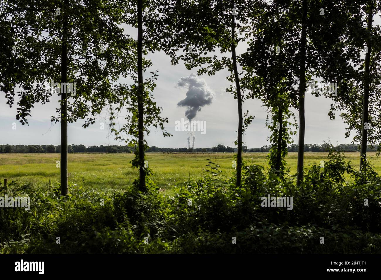 Coal power plants with trees hi-res stock photography and images - Alamy