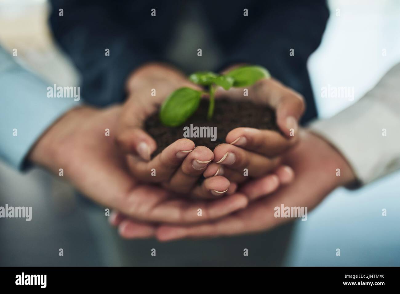 Growth lies in the hands of the team. a group of businesspeople holding ...