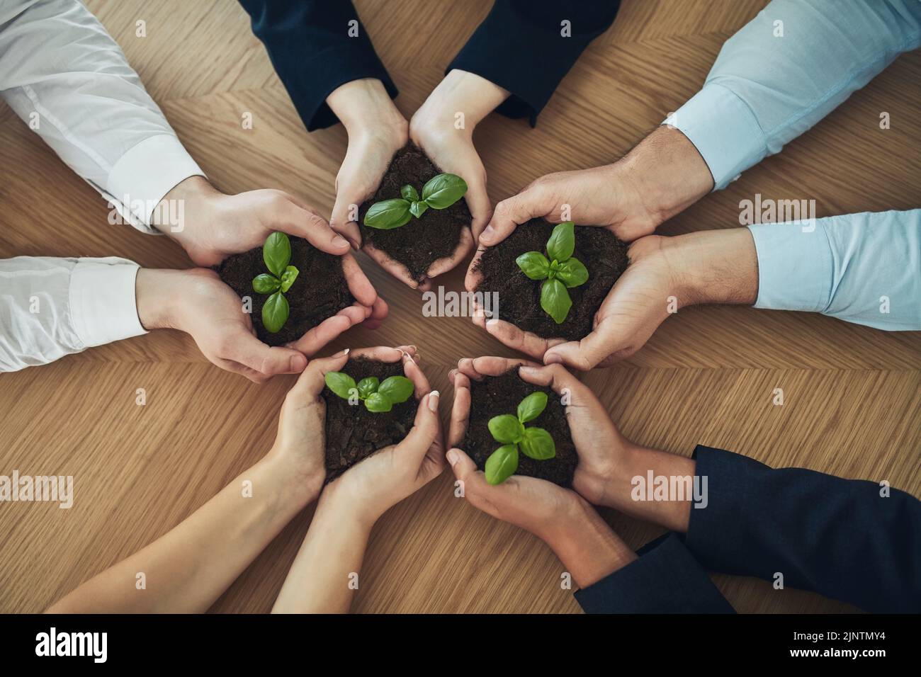 Watch our business grow from strength to strength. a group of ...