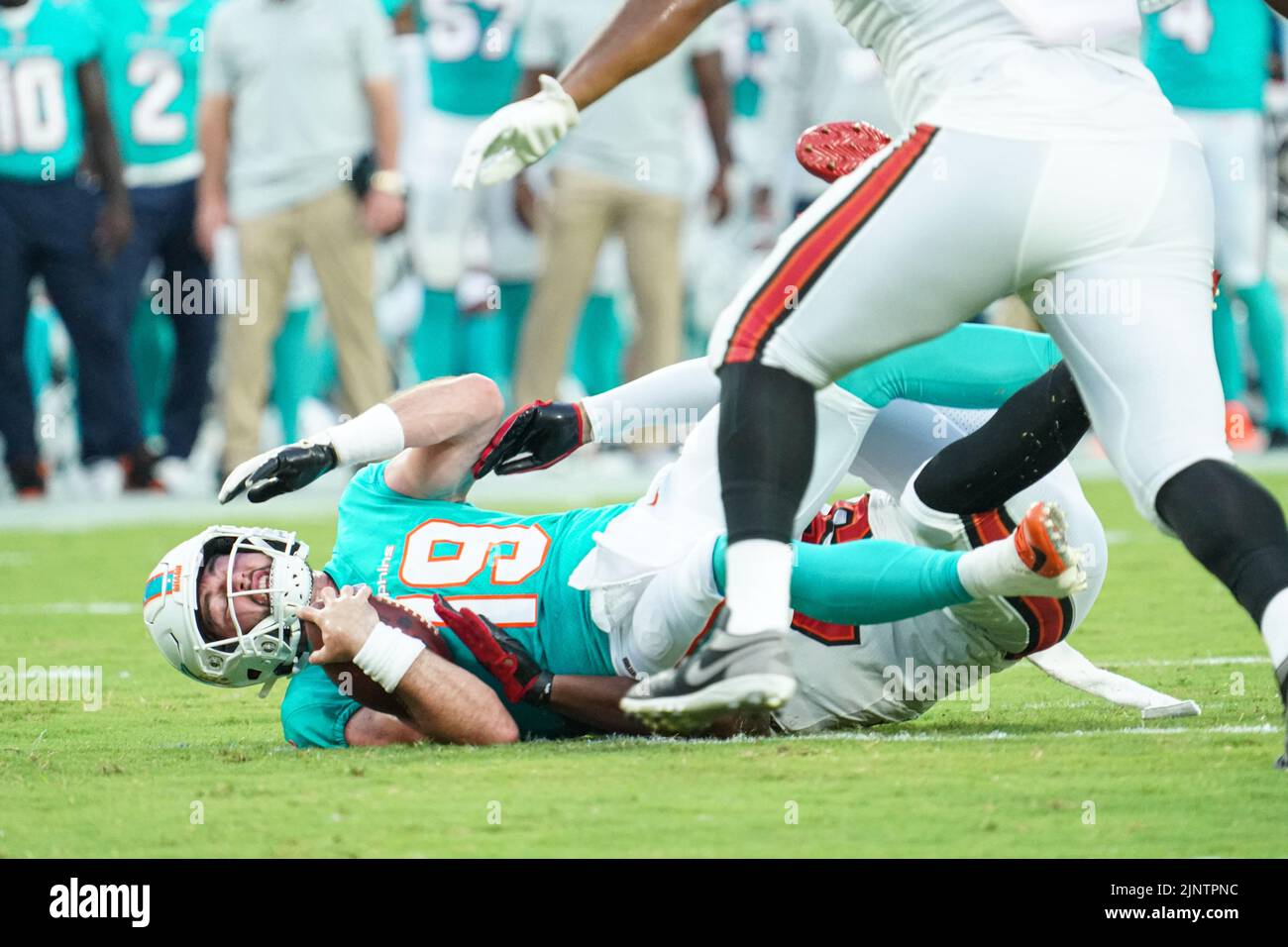 Tampa Bay, Florida, USA, August 13, 2022, Miami Dolphins Quarterback ...