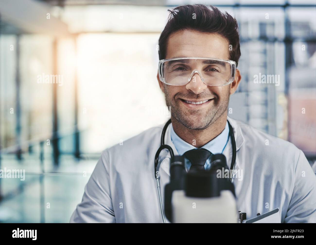 Handsome lab hi-res stock photography and images - Alamy
