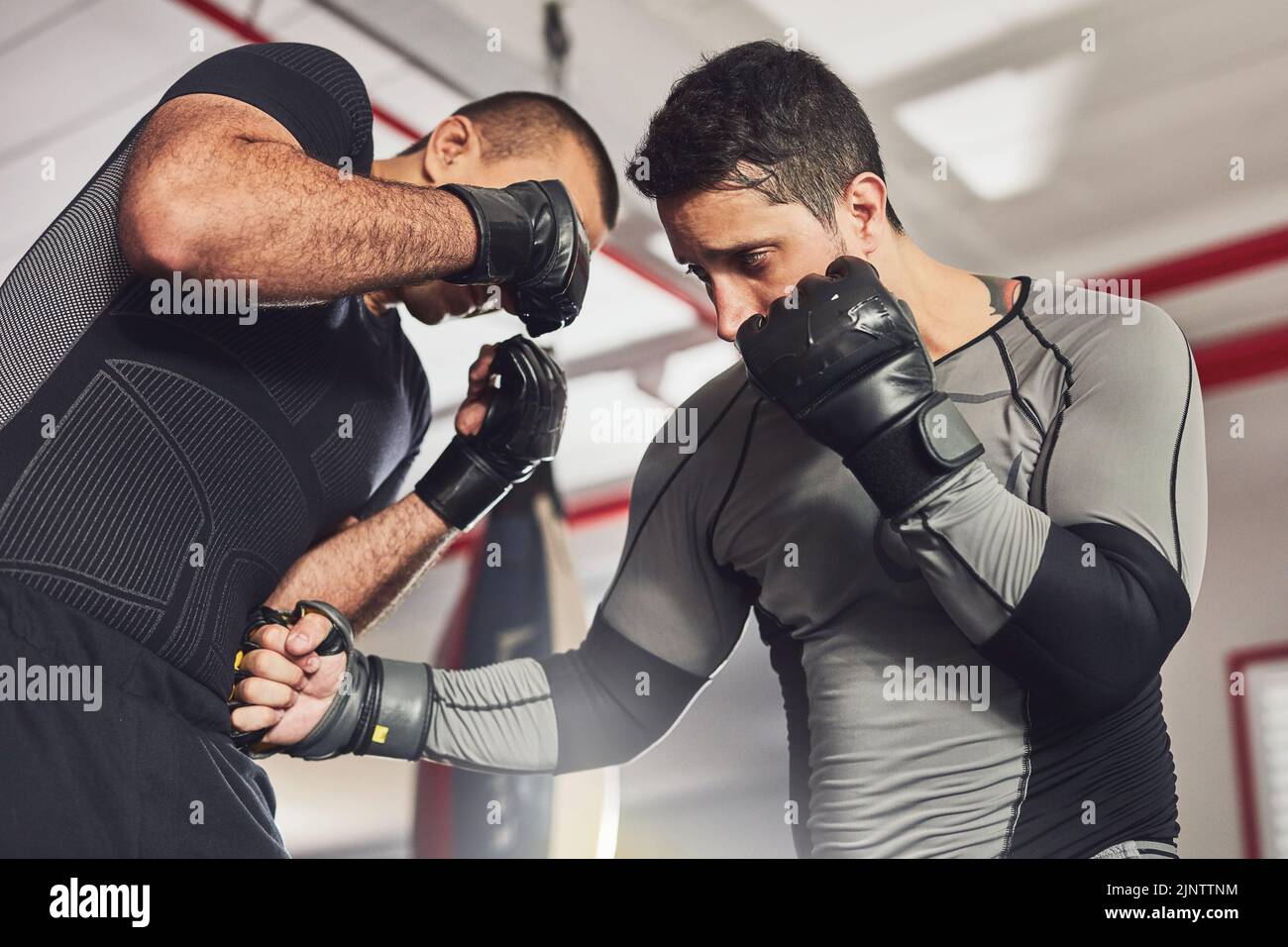 Body shots. two professional fighters sparring in the gym Stock Photo ...
