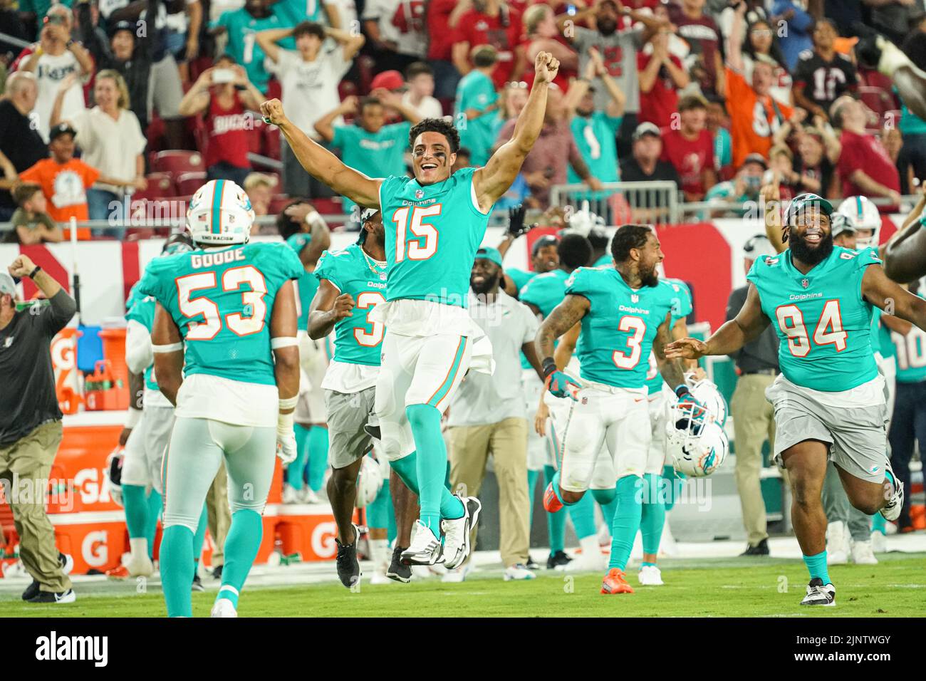 Miami dolphins hi-res stock photography and images - Alamy