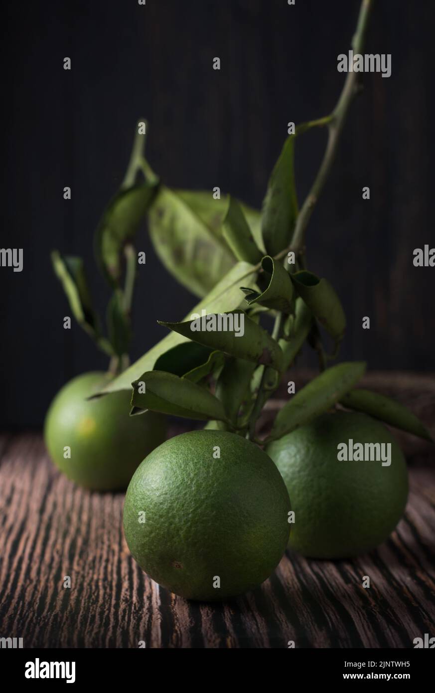 freshly harvested green skin oranges on wooden surface, also called ...