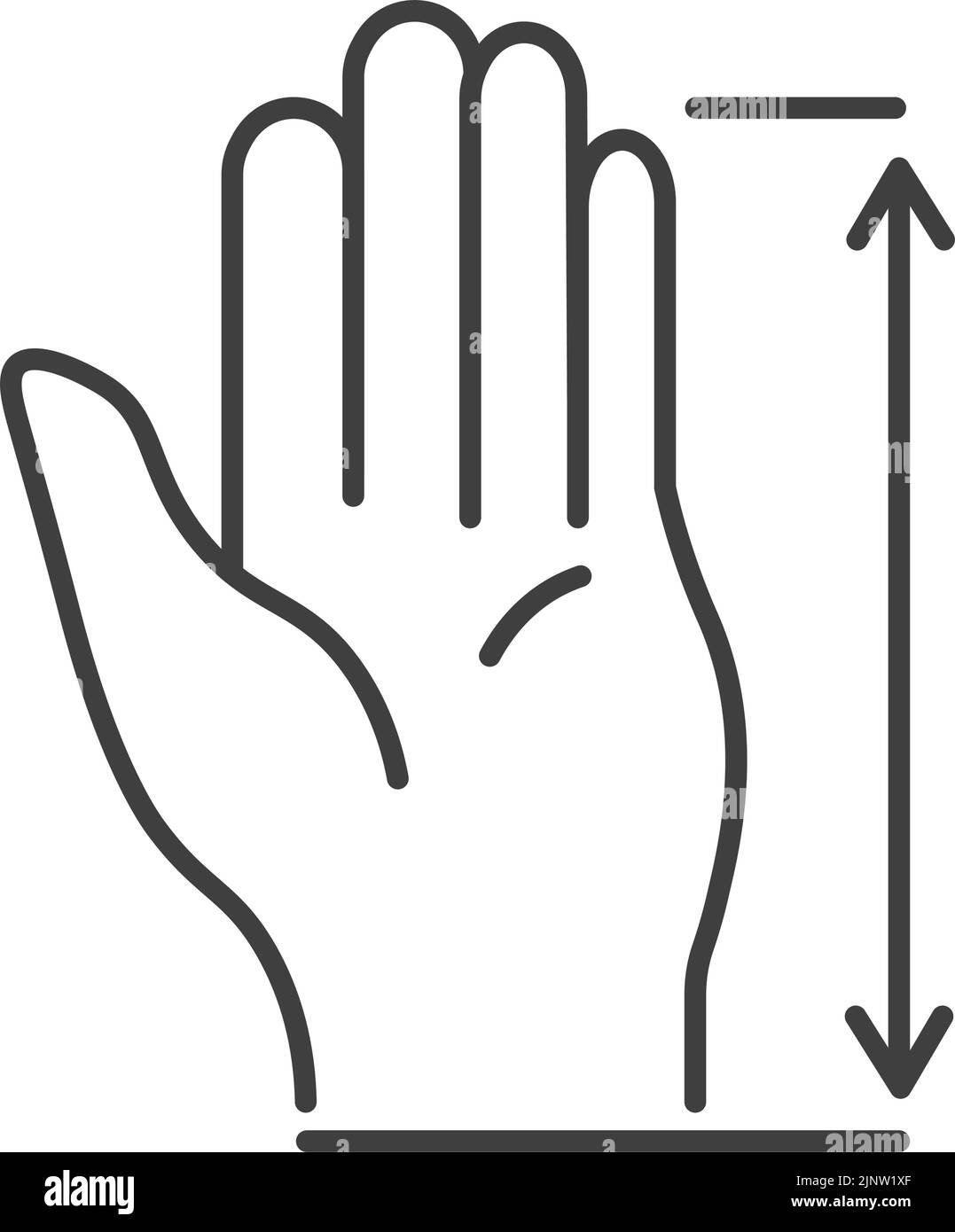 Dimensions and measurement of human hand vector Stock Vector Image ...