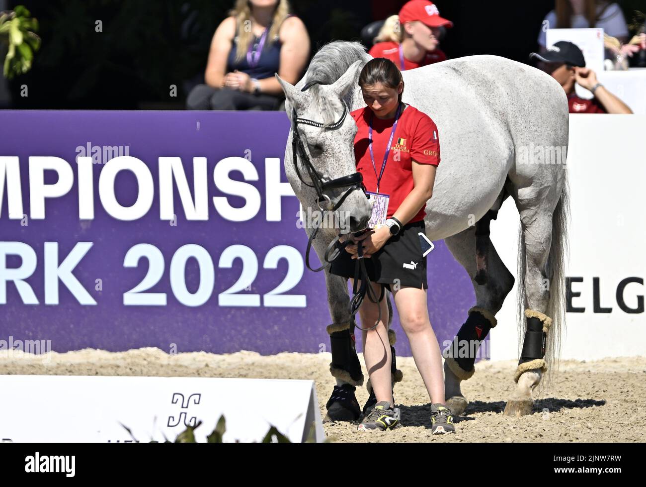Herning, Denmark. 13th Aug, 2022. World Equestrian Games.CONVICTO is ...