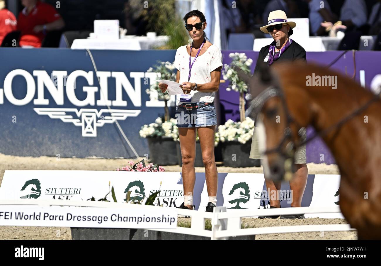 Herning, Denmark. 13th Aug, 2022. World Equestrian Games.A caller is in ...