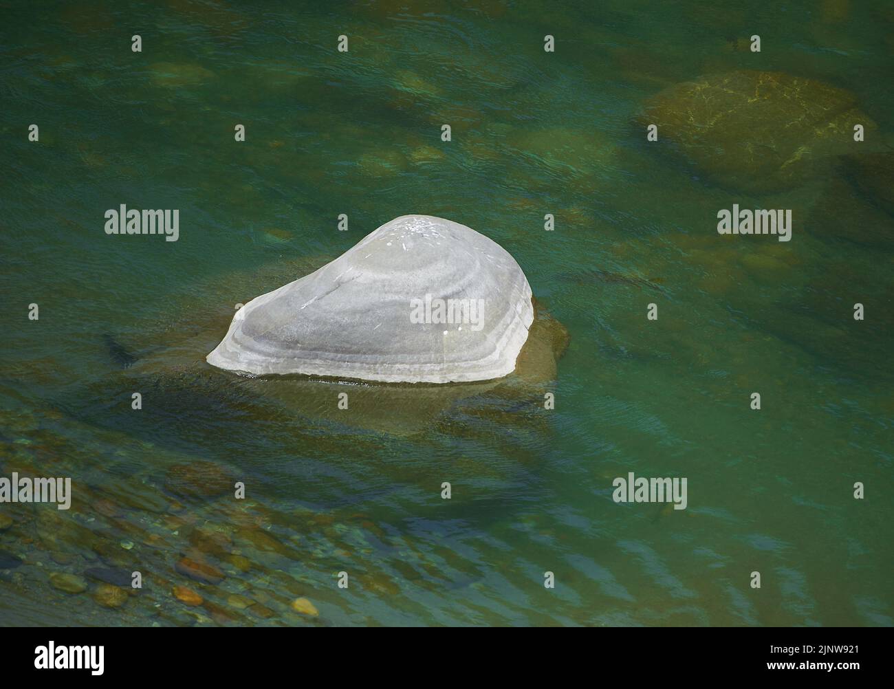 Smooth White Stone, Jim Corbett National Park, India Stock Photo - Alamy