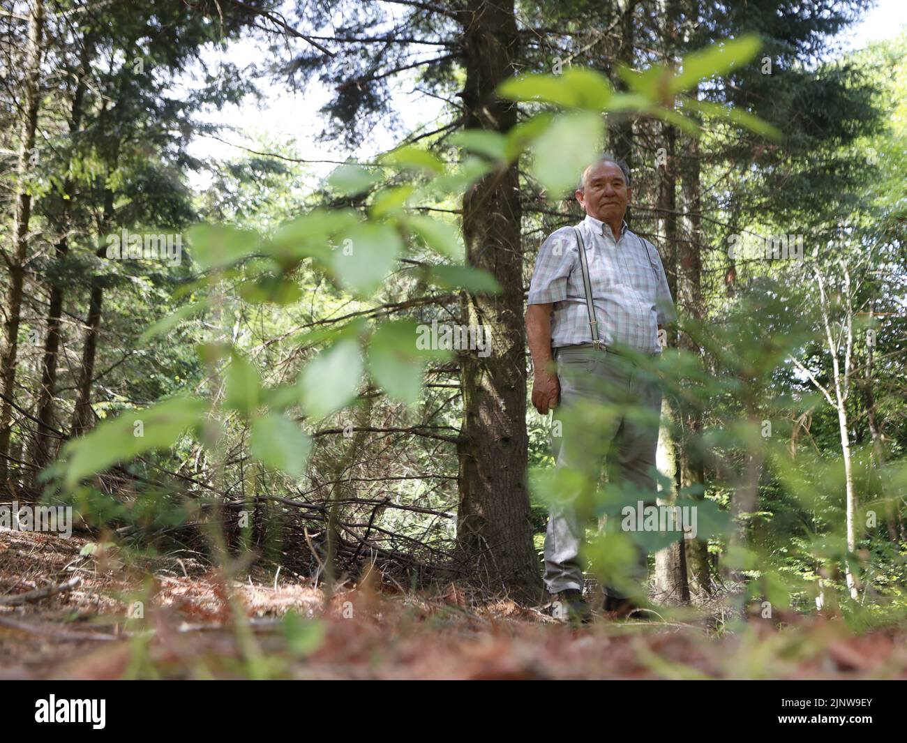 Werner gutbier hi-res stock photography and images - Alamy